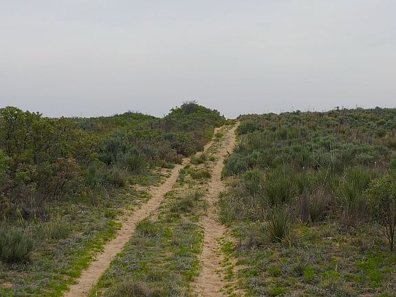 N State Highway 70, Flomot, TX 79234 | MLS #20219253 | Zillow