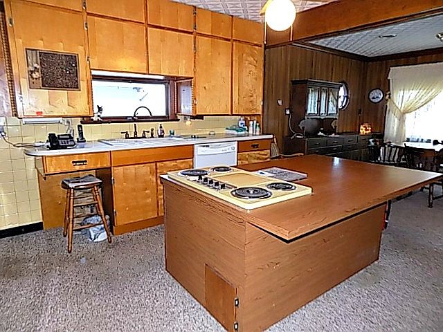 401 Main St Leonore IL | Zillow