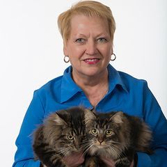 Ann Britton - Real Estate Agent in Blairsville, GA - Reviews | Zillow