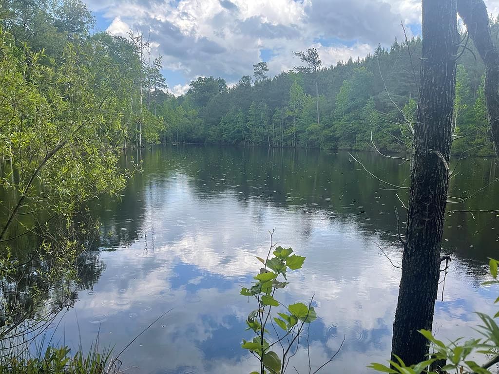 Mount Andrew, Midway, AL 36053 | MLS #24141 | Zillow