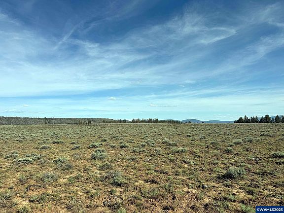 Tl 2000 Oregon Pines Rd, Beatty, OR 97621 | MLS #829706 | Zillow