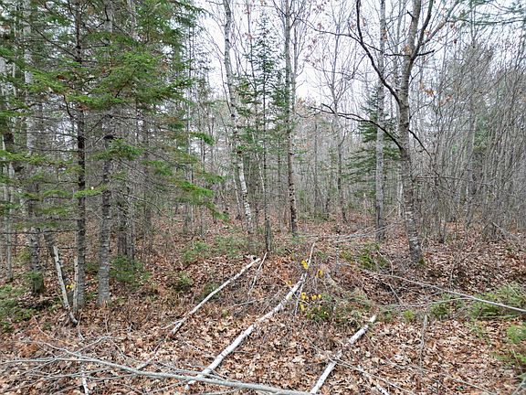 Lot 1 Stevens Brook Lane, Greenbush, ME 04418 | MLS #1608704 | Zillow