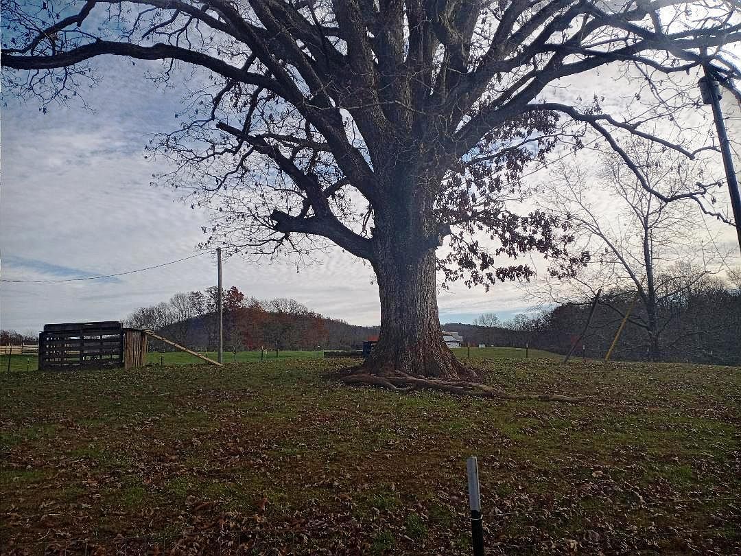 3565 Fairview Church Rd, Fairview, VA 24073 | Zillow