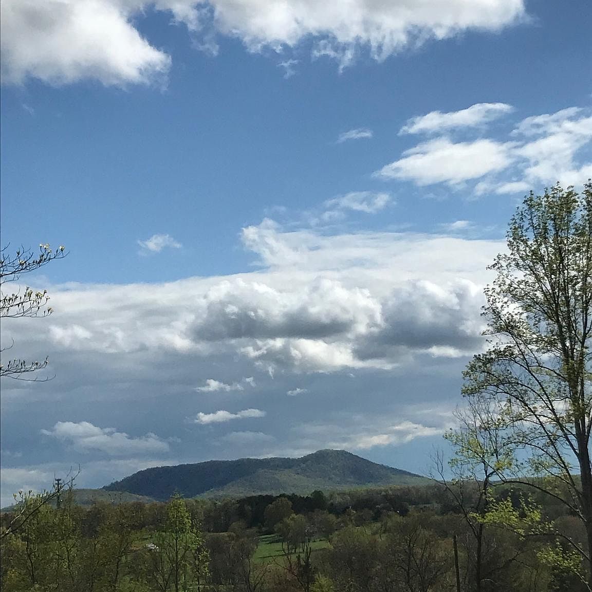 Reva Rd, Reva, VA 22735 | Zillow