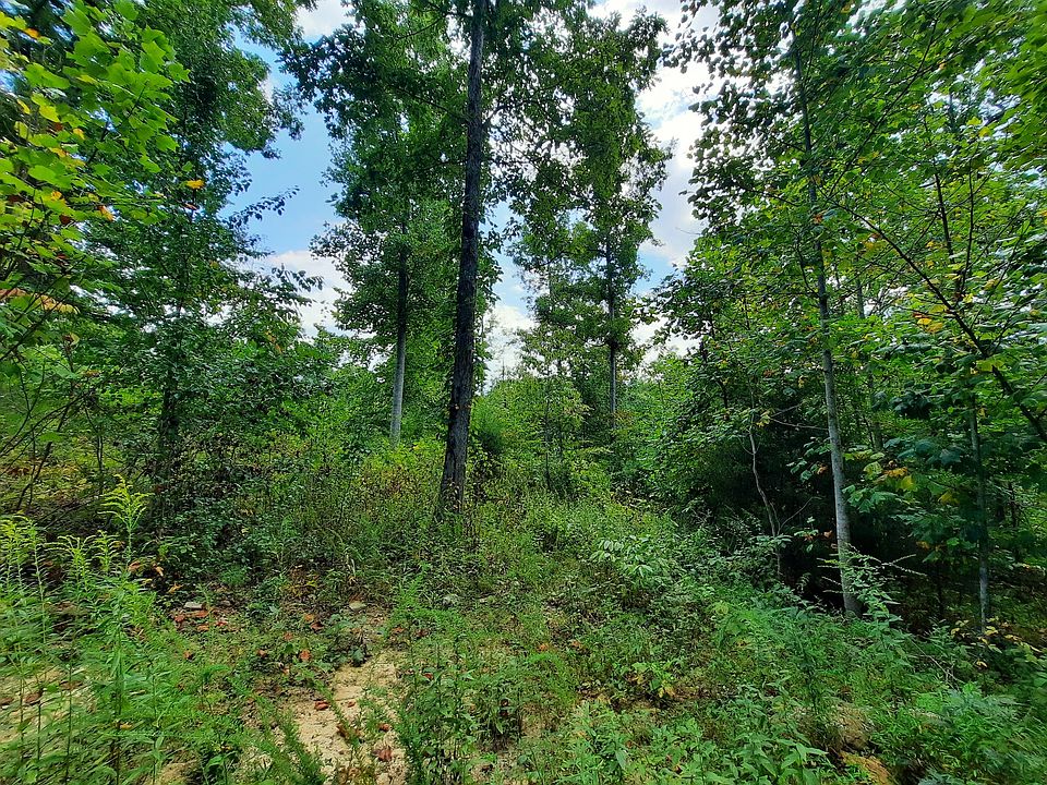 304 Cherokee Ct, White Bluff, TN 37187 | MLS #2432807 | Zillow