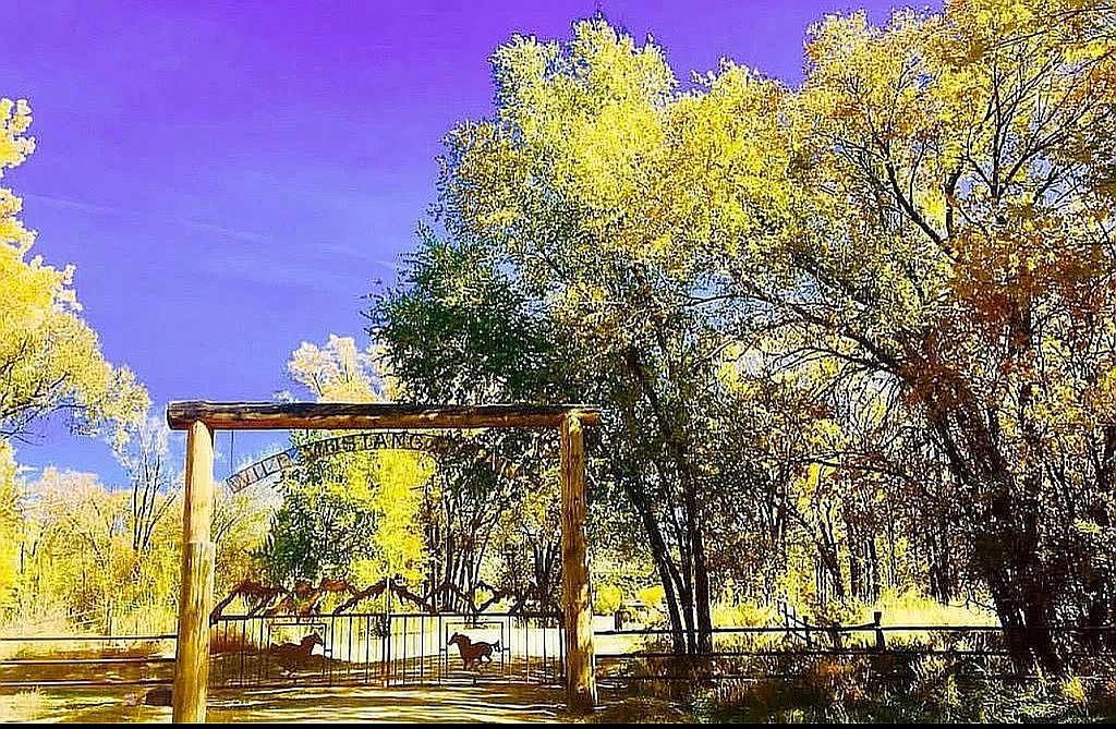 2174-45 1/2 Rd, De Beque, CO 81630 | Zillow