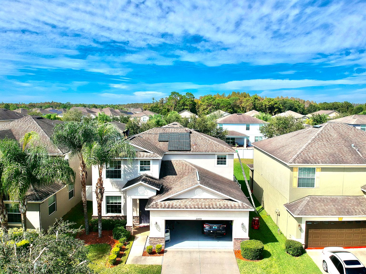 20420 Autumn Fern Ave, Tampa, FL 33647 | Zillow