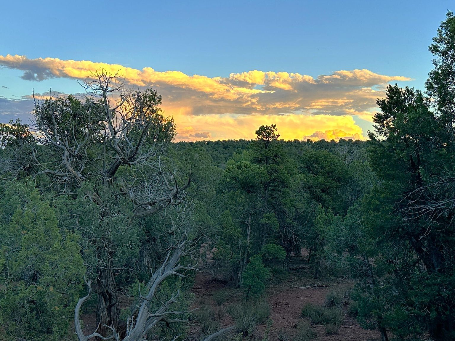 6745 Cheney Ranch Loop, Show Low, AZ 85901 | Zillow