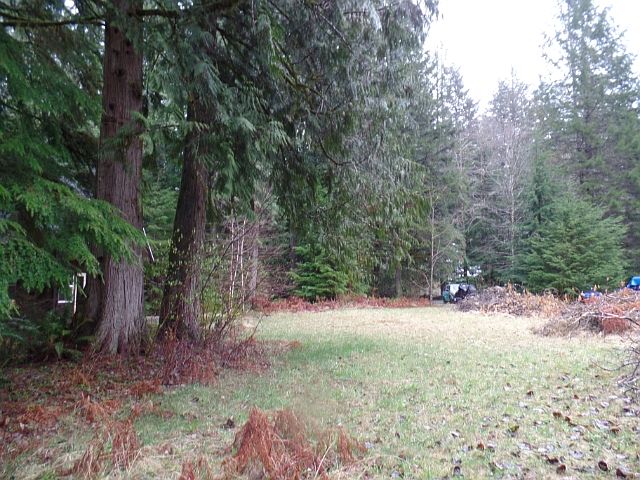 7055 Austin Pass Rd, Glacier, WA 98244 | Zillow