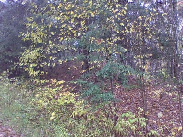 287 Yellow Rd, Nisula, MI 49952 | Zillow