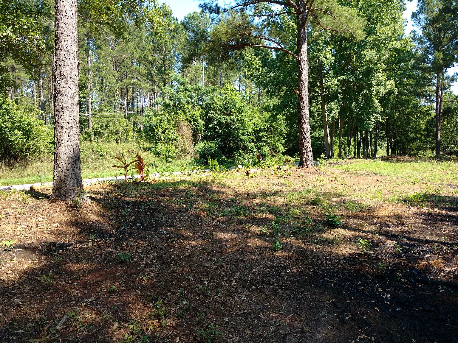 1335 Highway 261 S #Land, Wedgefield, SC 29168 | Zillow