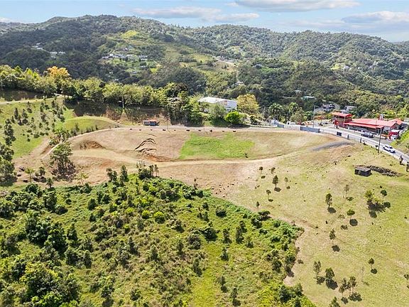 788 Bo Quemado Sector Aires Rd, San Lorenzo, PR 00754 | MLS #PR9120236 ...