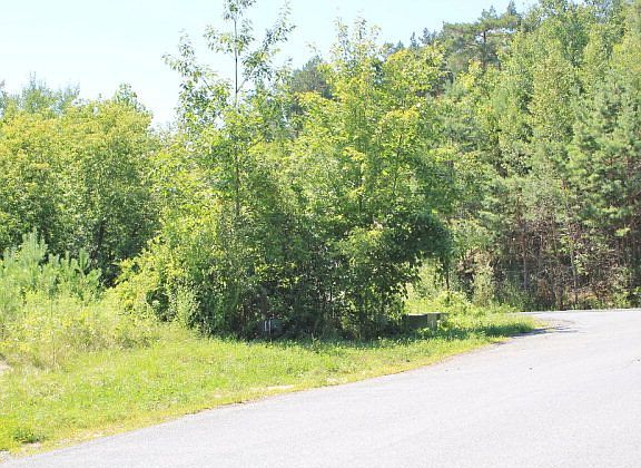 17 Pinewood Dr, Peru, NY 12972 | Zillow