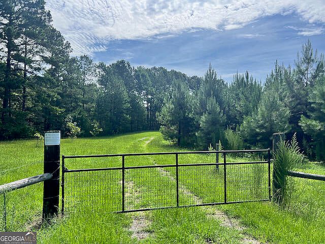 7660 Mitchell Warrenton Rd, Mitchell, GA 30820 | Zillow