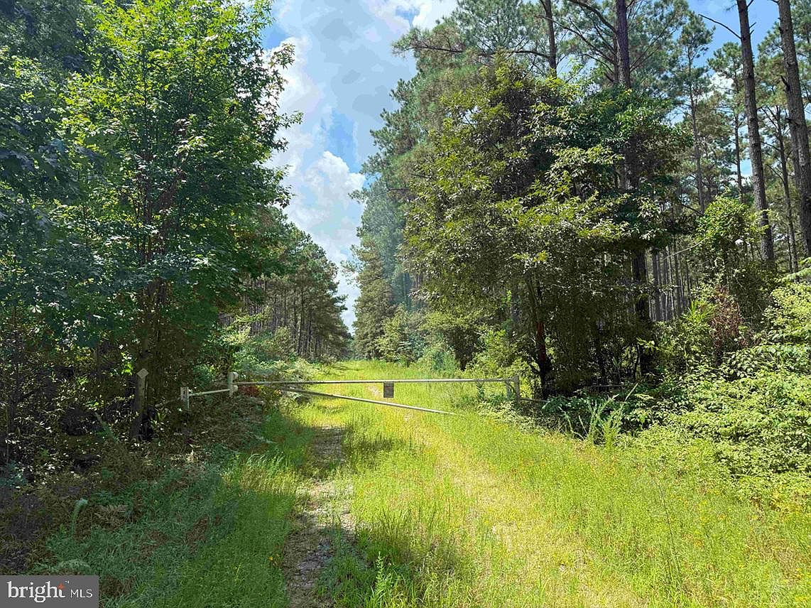 N Liberty Spring Road Tract Ches Block 4 #61-119, Suffolk, VA 23432 ...