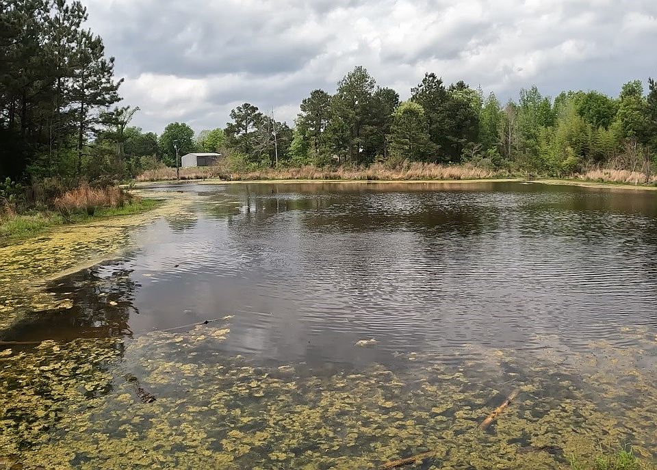 Fm 999, Gary, TX 75643 | Zillow