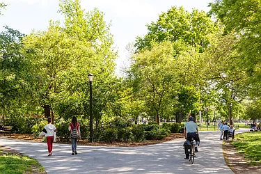 12 Eckford Street #4M in Greenpoint, Brooklyn | StreetEasy