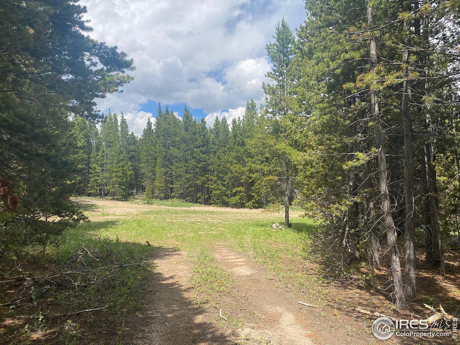 0 Forest Service 169 Rd, Red Feather Lakes, CO 80545 | MLS #992394 | Zillow