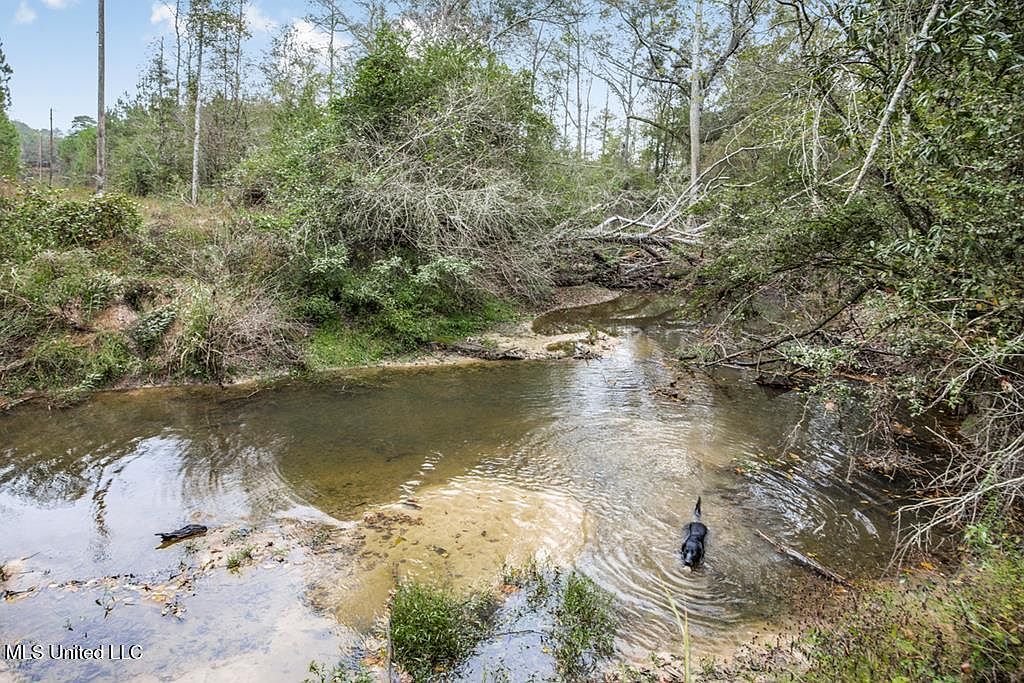 3162 Reeves Rd SE, Ruth, MS 39662 | Zillow