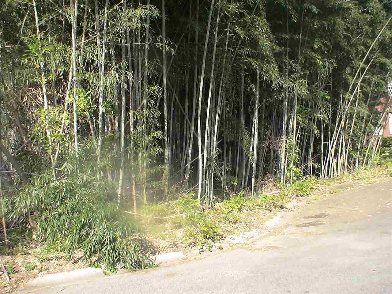 636 Lokchapee Rdg, Macon, GA 31210 | Zillow