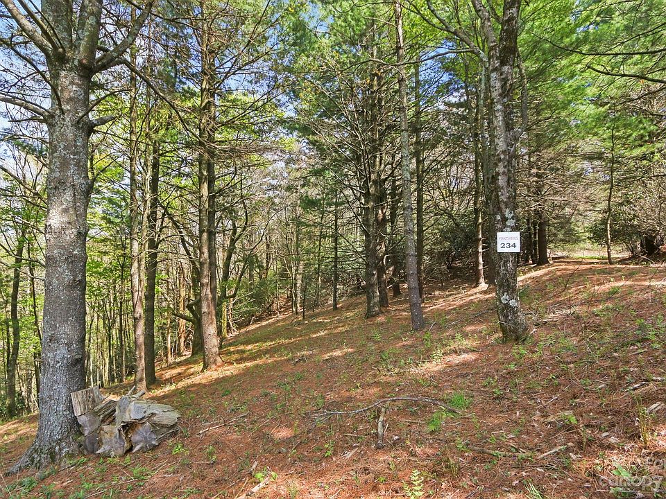 999 Thunderhill Trl, Blowing Rock, NC 28605 | MLS #4050798 | Zillow