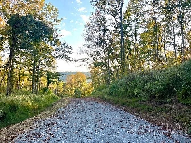 1171 Ginger Ridge Rd, Manchester, OH 45144 | MLS #1805958 | Zillow