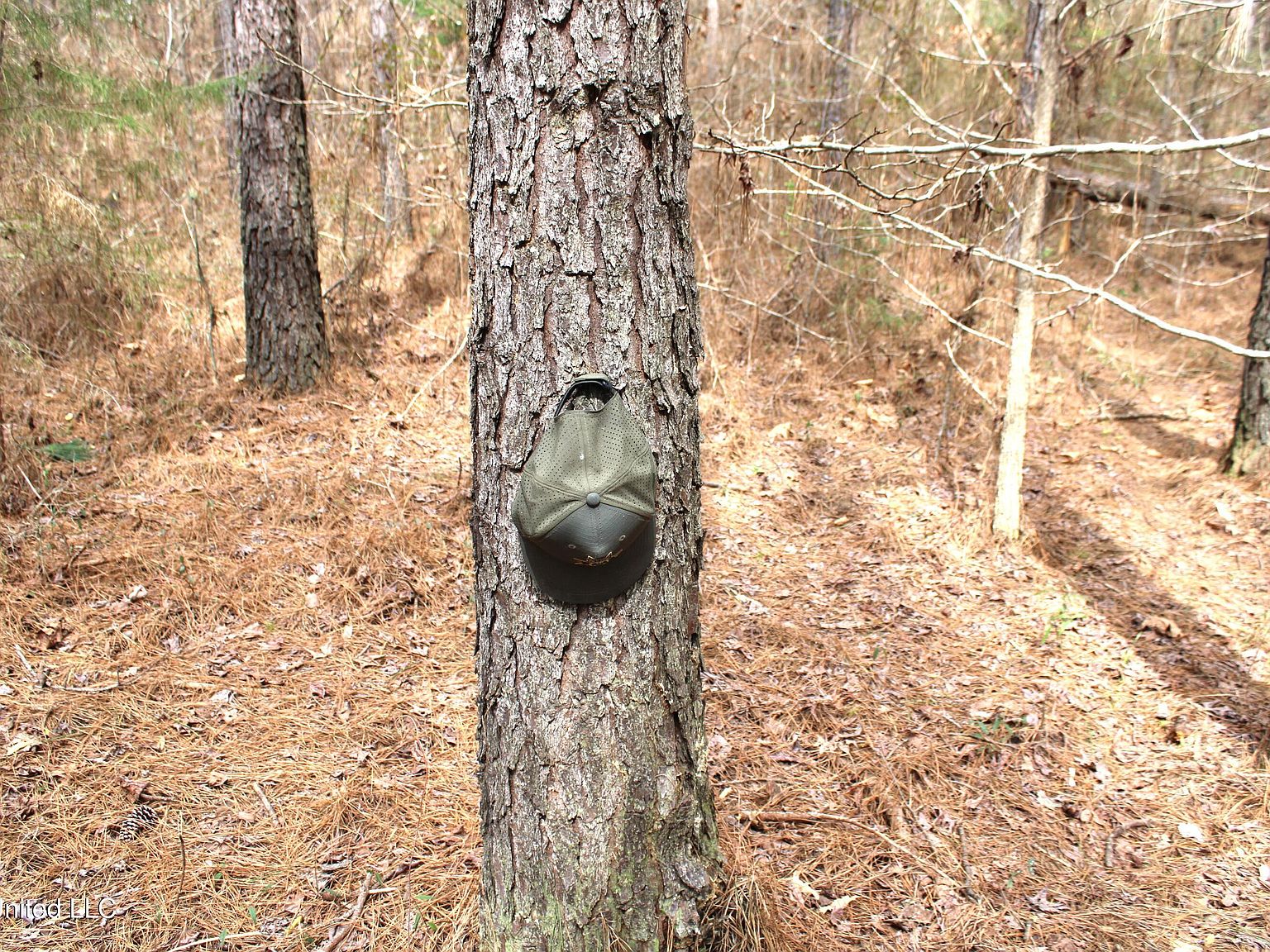 Raytown Rd, Canton, MS 39046 | MLS #4108008 | Zillow