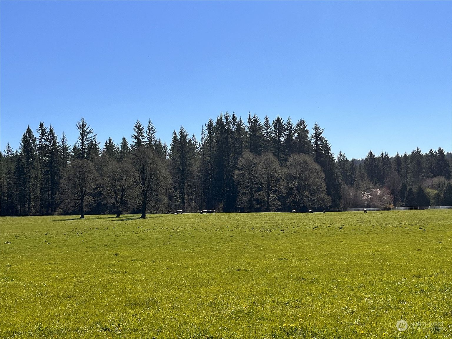 0 #19 SEC 29 T4NR3EWM 20A, Battle Ground, WA 98604 | MLS #2220157 | Zillow