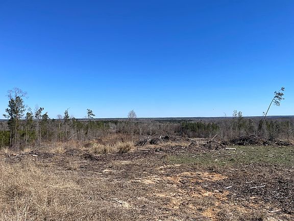 Fire Tower Rd, Pattison, MS 39144 | MLS #144033 | Zillow