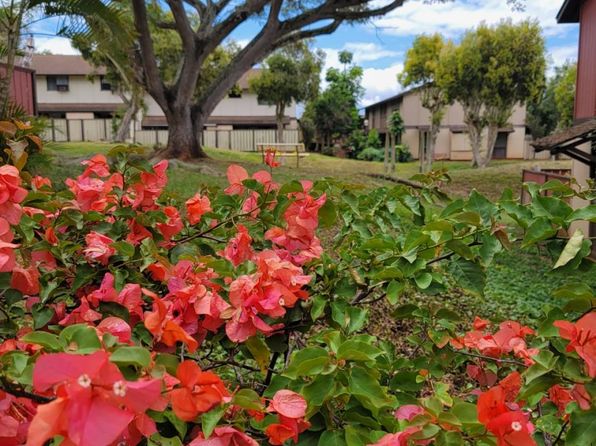 Townhomes For Rent in Mililani HI - 15 Rentals | Zillow