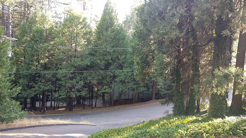 3367 Hazel St, Pollock Pines, CA 95726 | Zillow