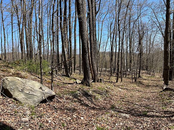 0 Buck View Dr, Hancock, NY 13783 | MLS #11210940 | Zillow