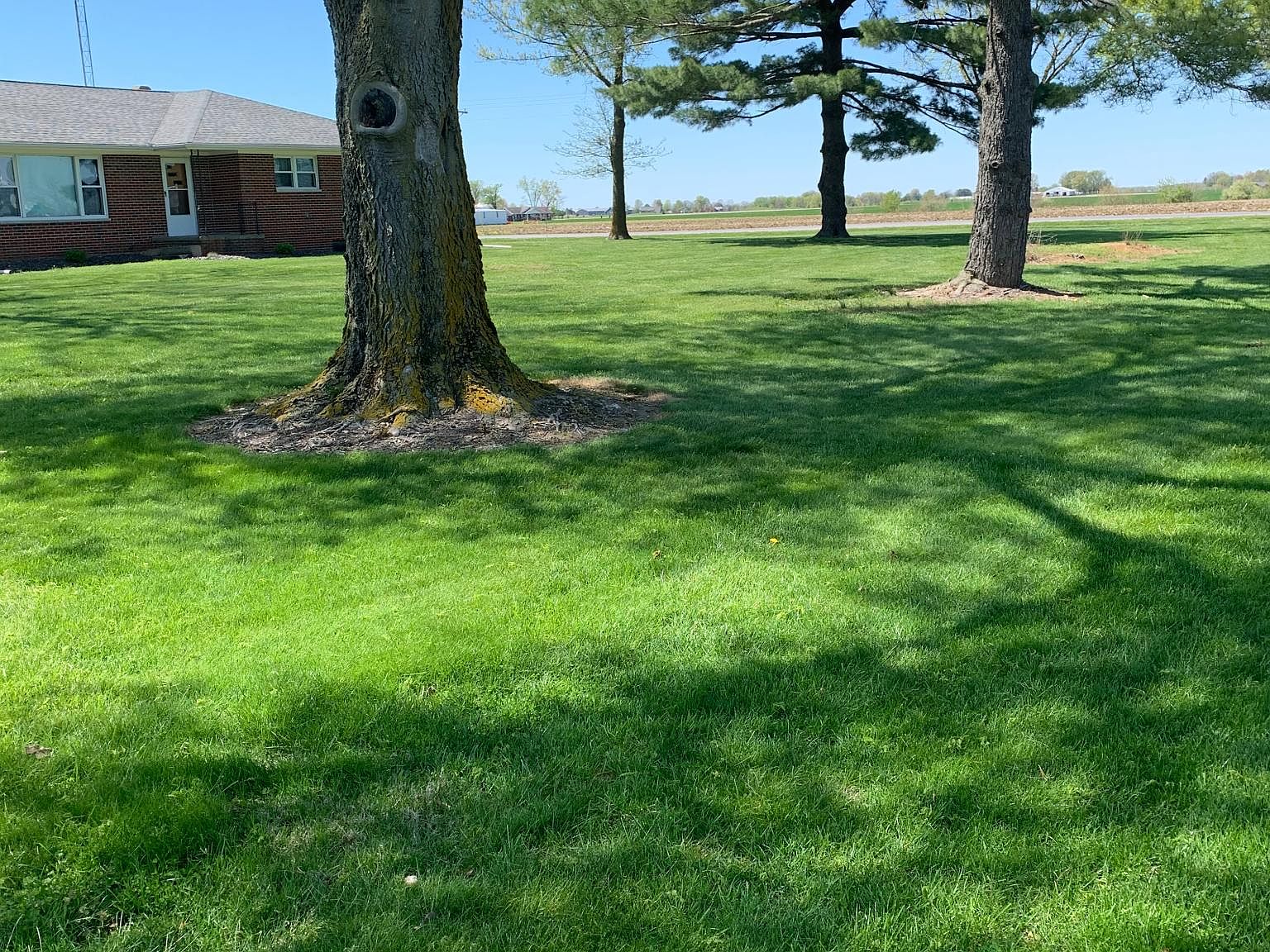 14100 State Route 161, Bartelso, IL 62218 | Zillow