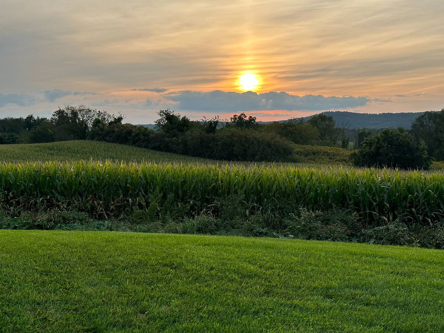 533 N Mountain Rd, Copake Falls, NY 12517 | MLS #11164391 | Zillow