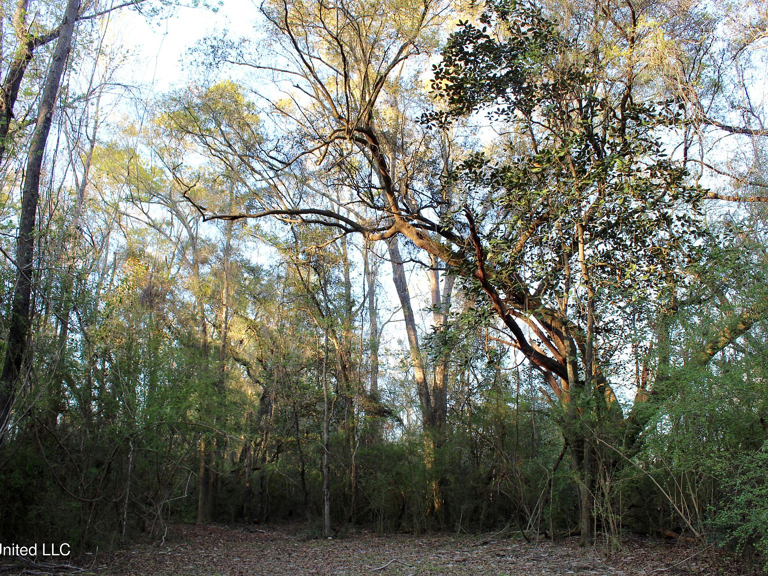 Frank Snell Rd, Moss Pt, MS 39562 | MLS #4108021 | Zillow