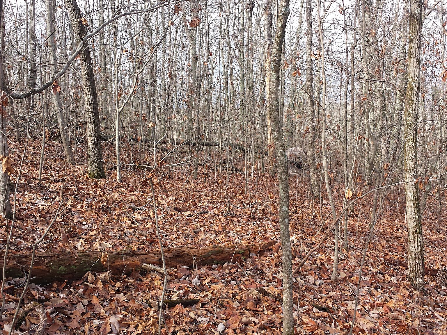 Lawhon Farm Rd, Loudon, TN 37774 | Zillow