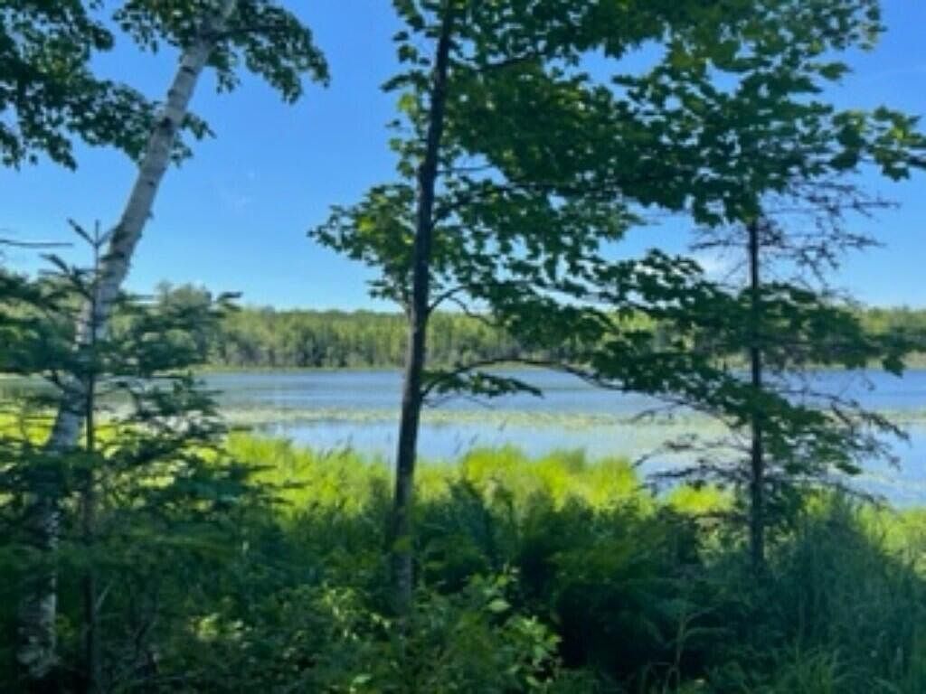 Lt0 SAWYER LAKE ROAD, Townsend, WI 54175 | Zillow
