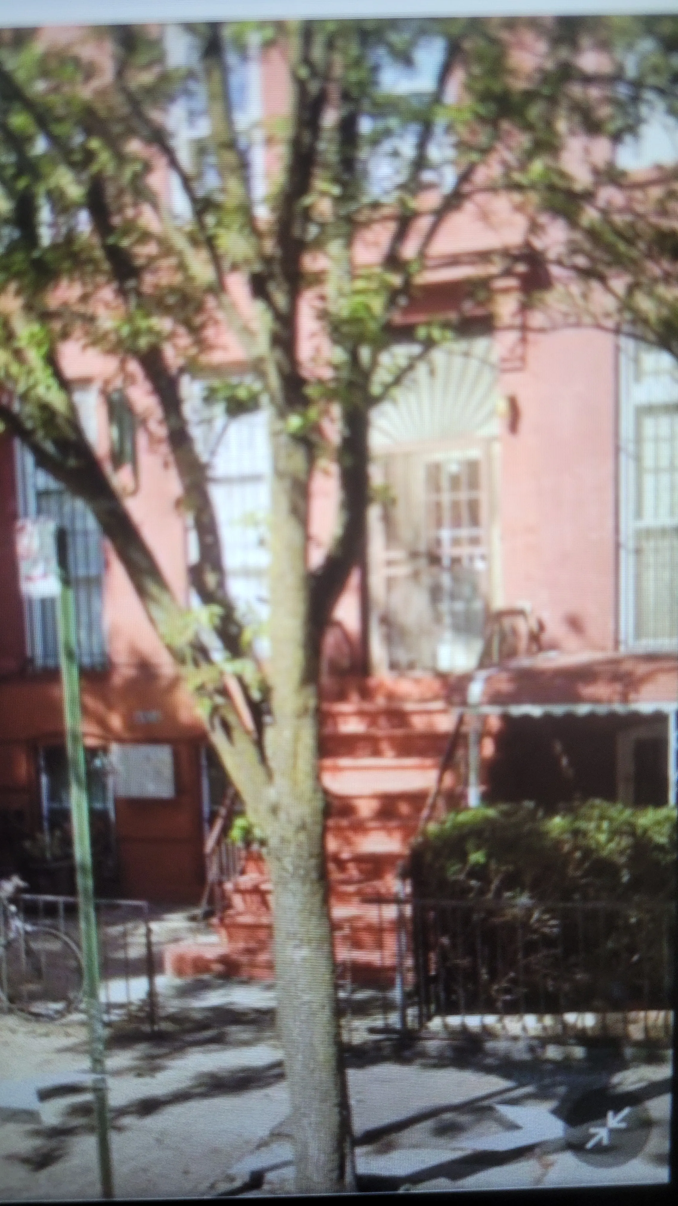 643A Greene Avenue #3 in Bedford-Stuyvesant, Brooklyn | StreetEasy