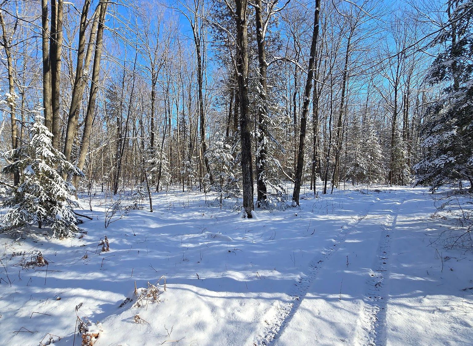 On Hwy #45, Deerbrook, WI 54424 | MLS #210329 | Zillow