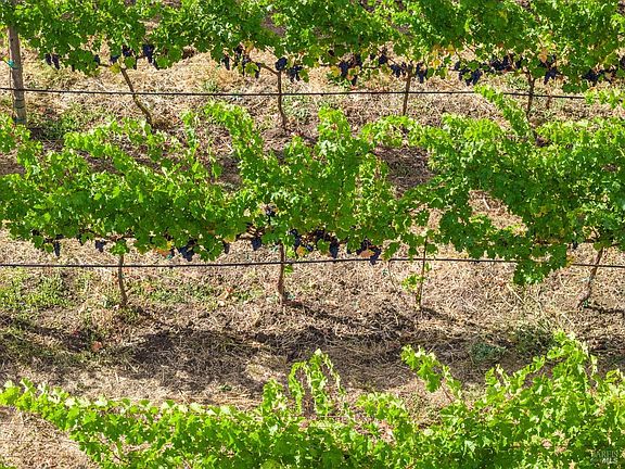 3800 Jameson Canyon Rd, Napa, CA 94558 | MLS #323921547 | Zillow