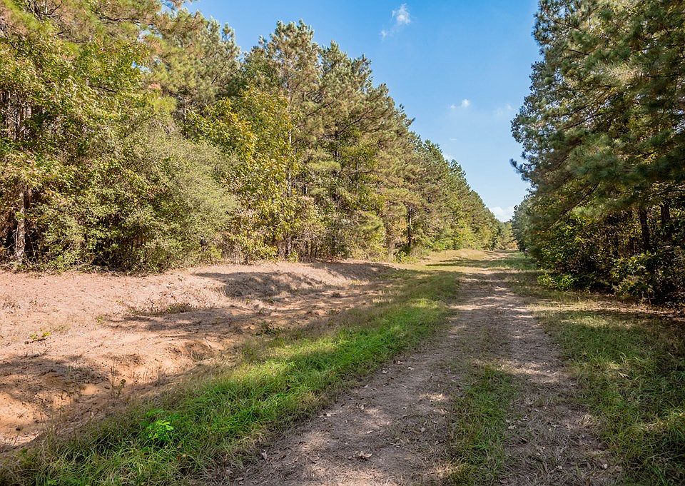 30 AC County Road 783, Douglass, TX 75943 | Zillow