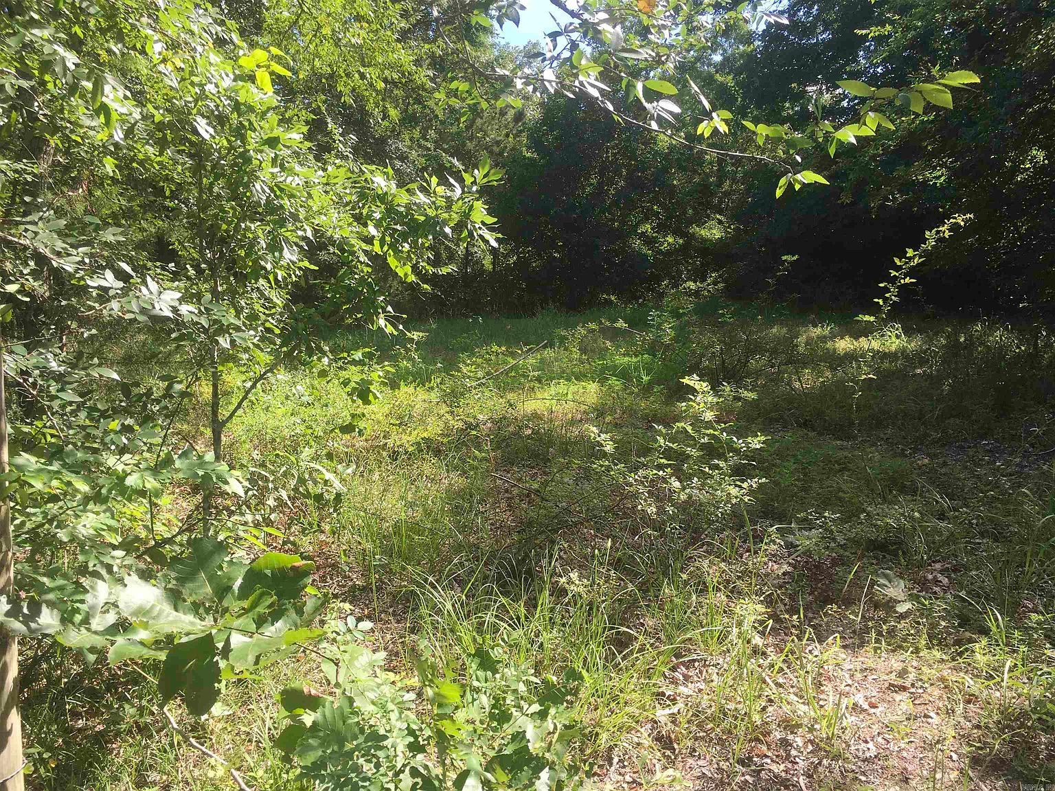 Weeping Willow Ln, Mena, AR 71953 | Zillow