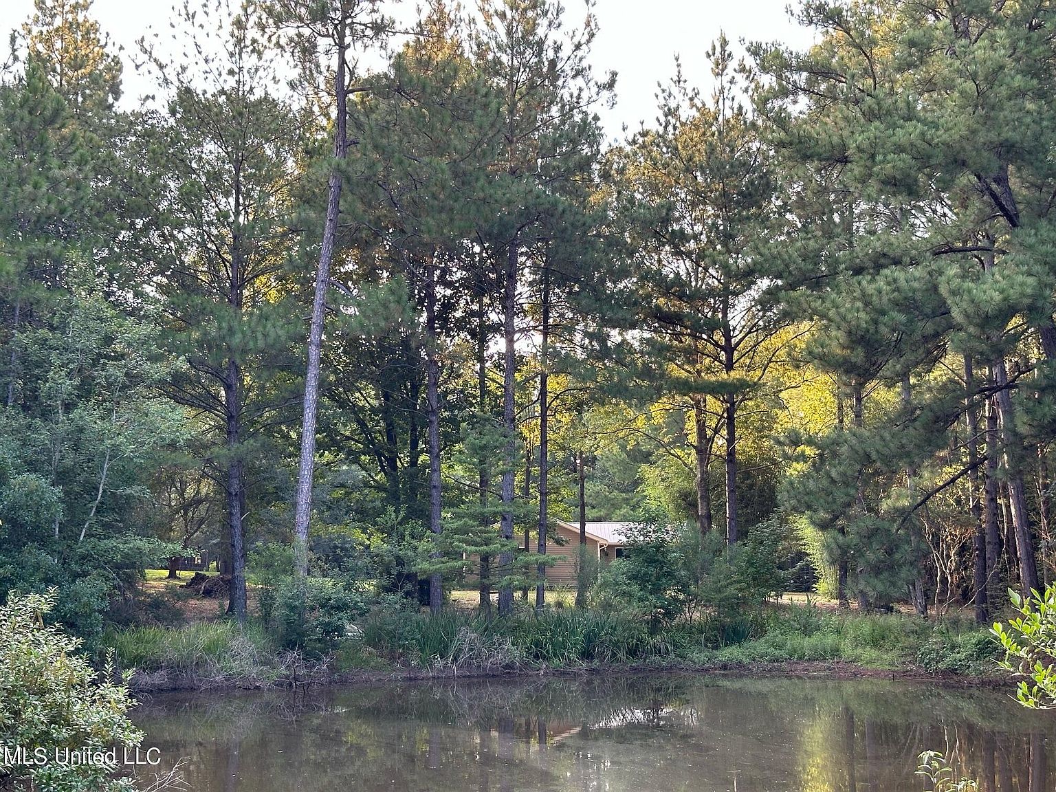 121 American Sand And Gravel Rd, Poplarville, MS 39470 | MLS #4089249 ...