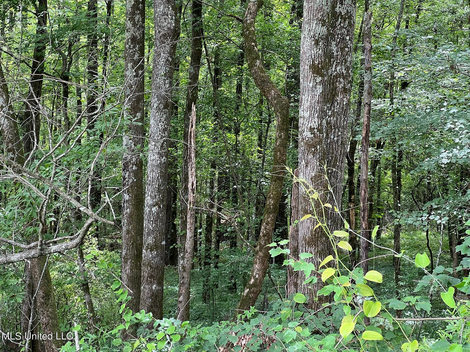 Highway 35, Carthage, MS 39051 | Zillow