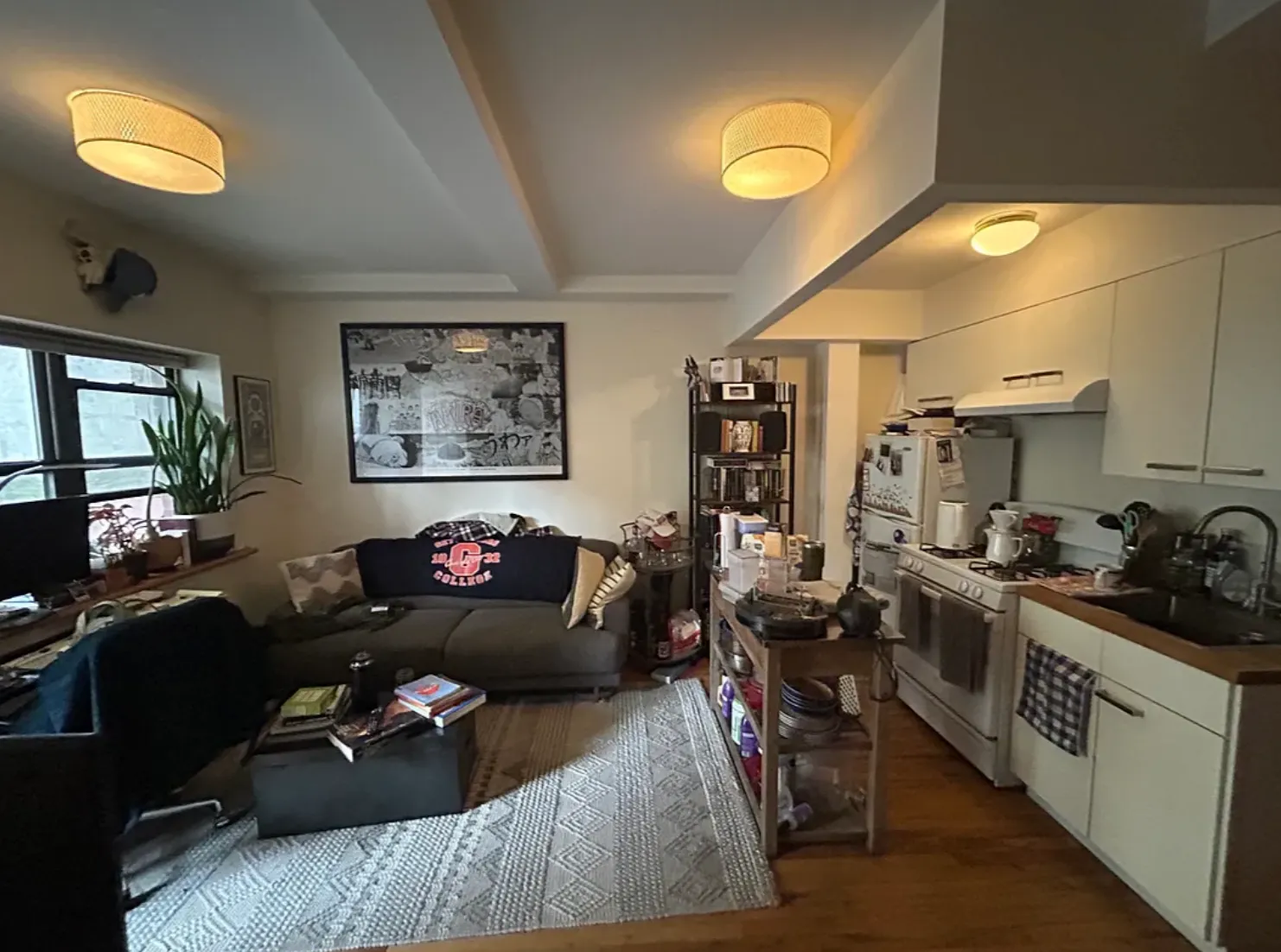 294 Broome Street #3C in Lower East Side, Manhattan | StreetEasy