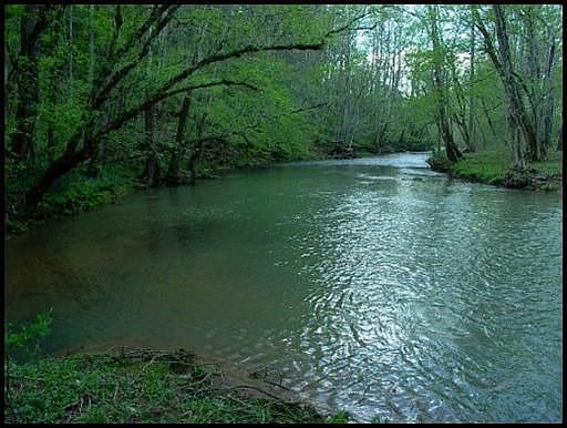 314 Pumpkin Hollow Rd, Heiskell, TN 37754 | Zillow