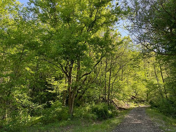 75 Middle Patch Rd, Gallagher, WV 25083 | MLS #11500309 | Zillow