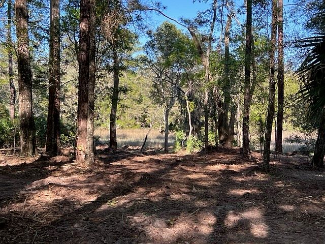 V/l 37 River Marsh Blvd, Waverly, GA 31565 | Zillow