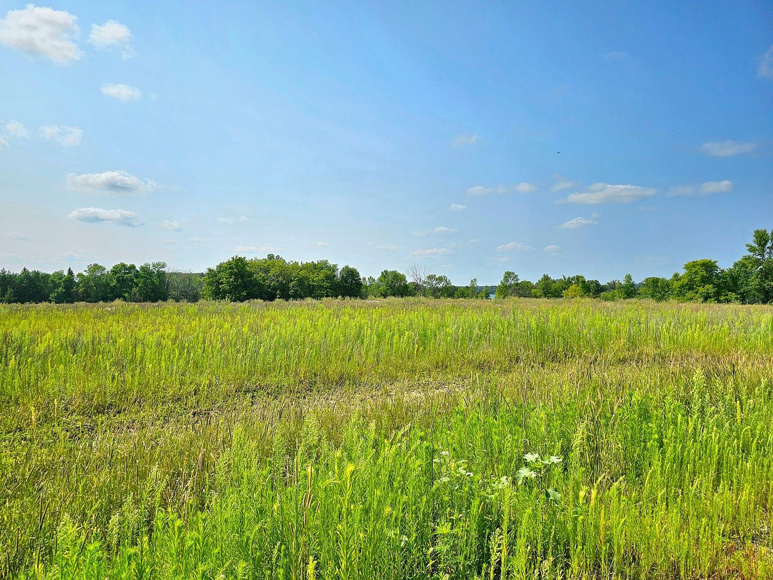 472XX 374th Ave, Frazee, MN 56544 | MLS #6587270 | Zillow