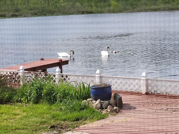 5303 Lake Rd, Reading, MI 49274 | MLS #24033086 | Zillow